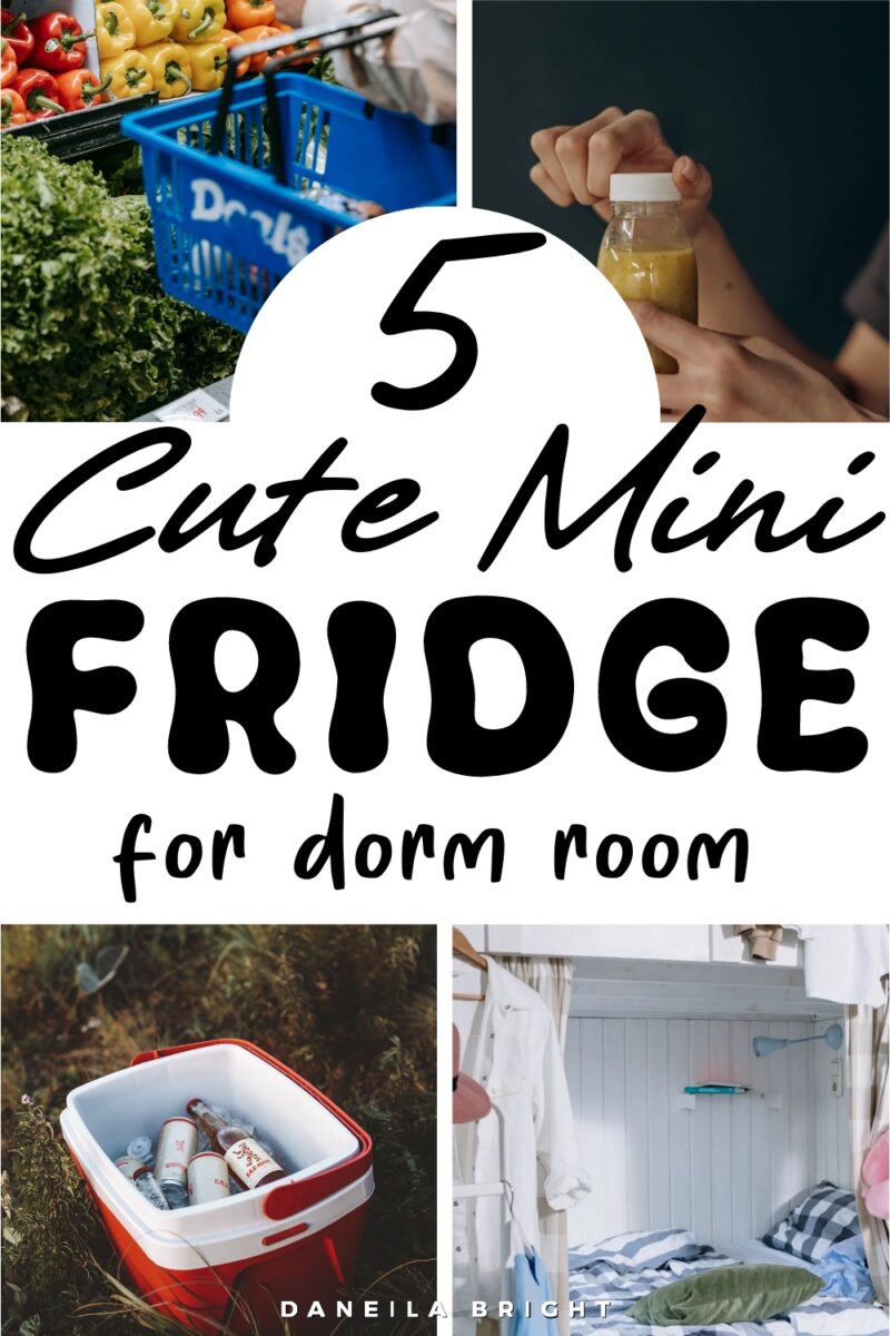 5 Best Mini Fridge For Dorm To Keep Your Goodies Nice and Cold ...